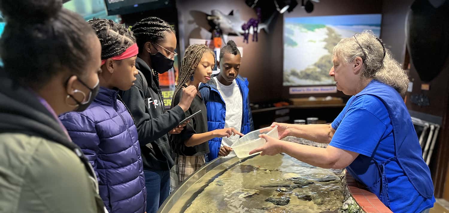 Staying Engaged with Field Trips and Electives - Higher Achievement